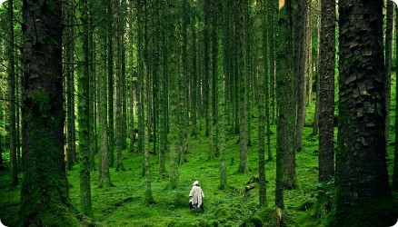 AnaEE France | Analyses et Expérimentations sur les Ecosystèmes ...